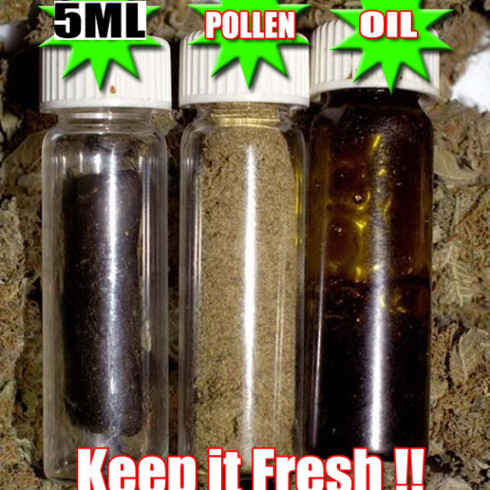 Wacky Willys Glass Vials | 5 ML Glass Vials | Full Case 144 PC | wacky ...