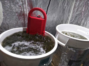 Portable washing machine | Portable Bubble Hash Washing Machine